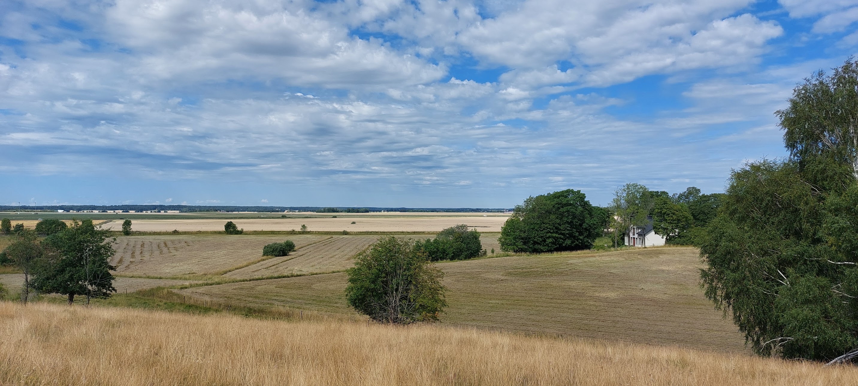Gamla Uppsala, forntida maktsäte – Scandinavian History